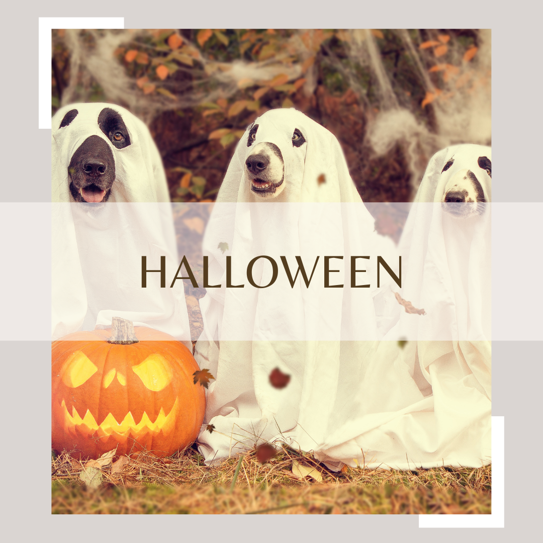 Halloween – Lavender Snooze